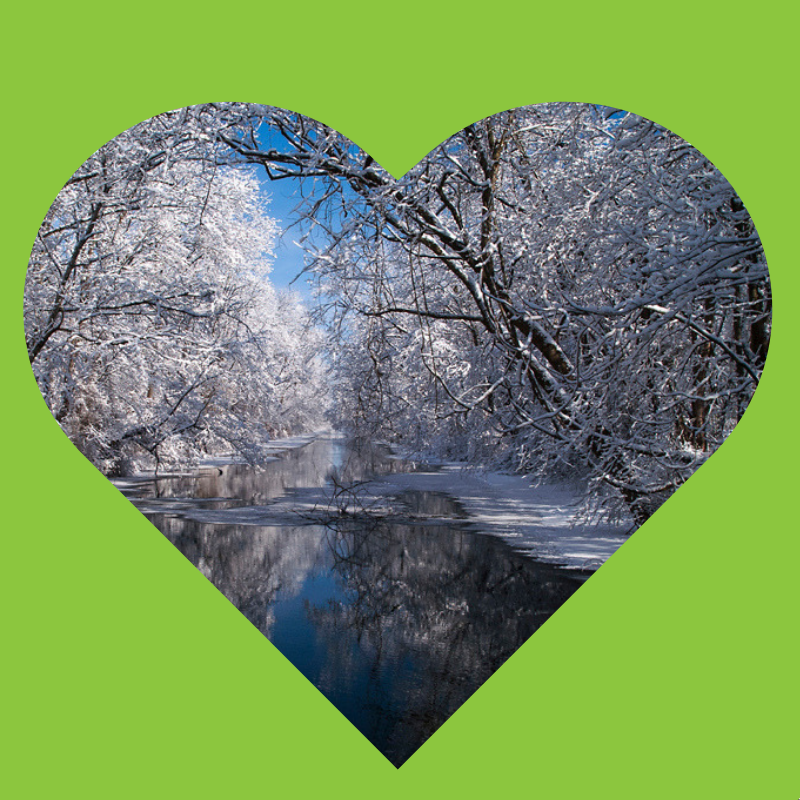 4 Ways to Lean Into Love #onthecircuit this Valentine's Day - Circuit ...