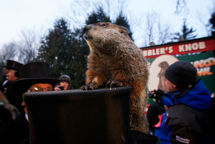 Dig Into Groundhog Day Celebrations On the Trails - Circuit Trails