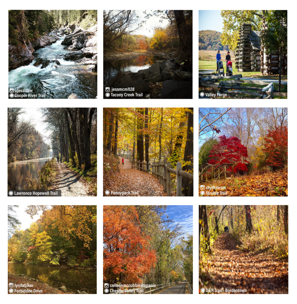 Fall for the Season - Circuit Trails