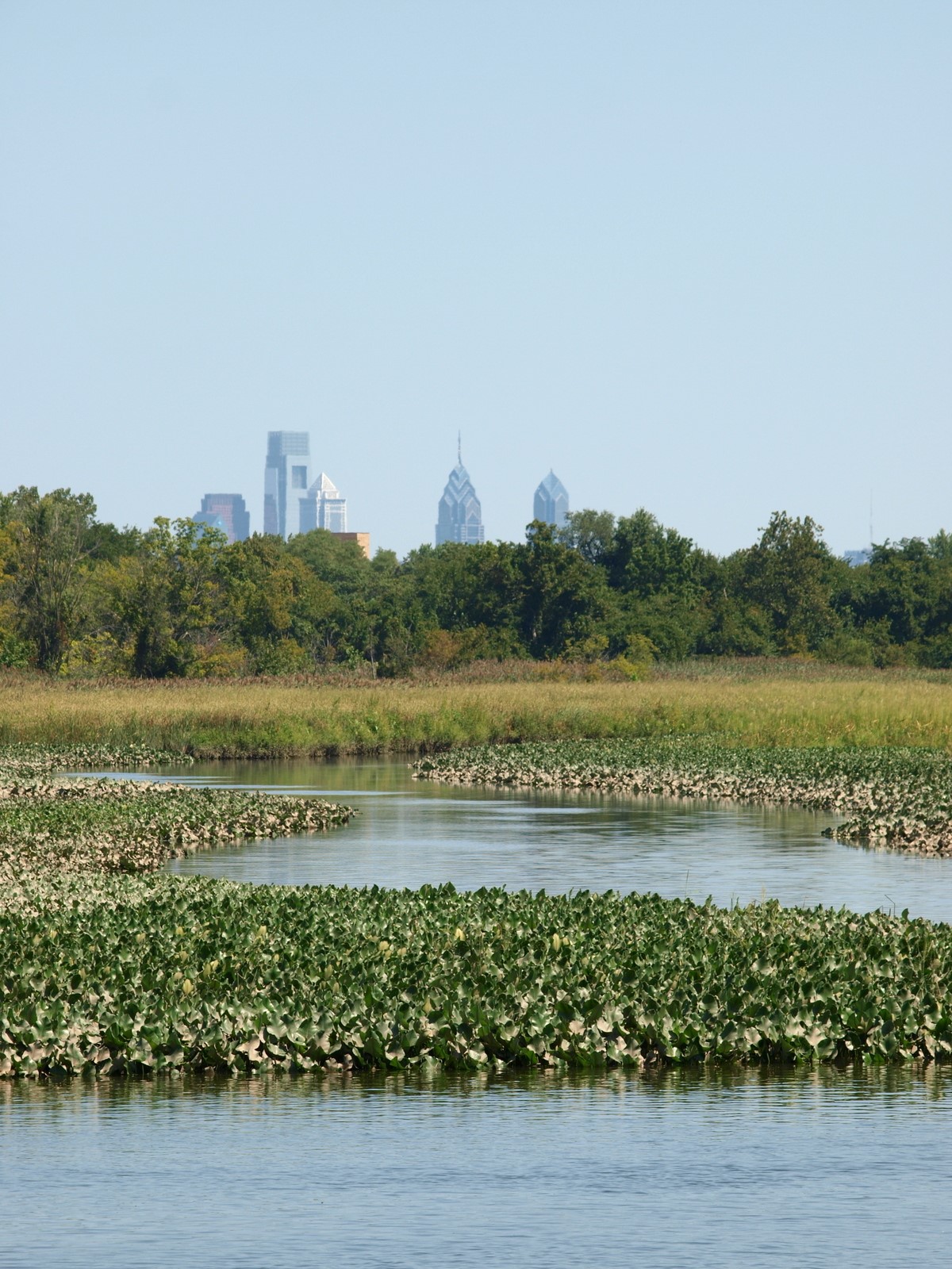 John Heinz Refuge Trails - Circuit Trails