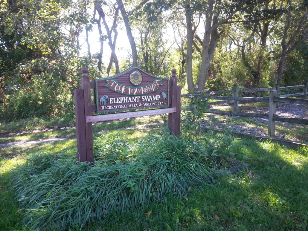 Glassboro Elk Trail: Elephant Swamp Trail - Circuit Trails