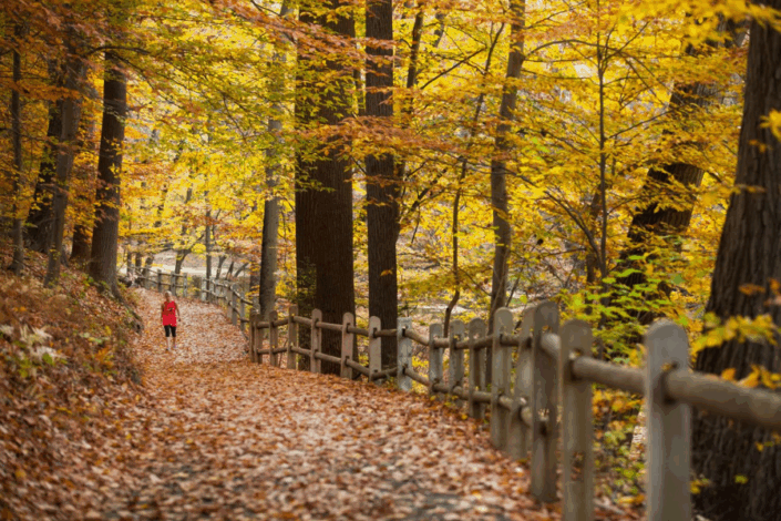 Catch Peak Fall Foliage #OnTheCircuit - Circuit Trails
