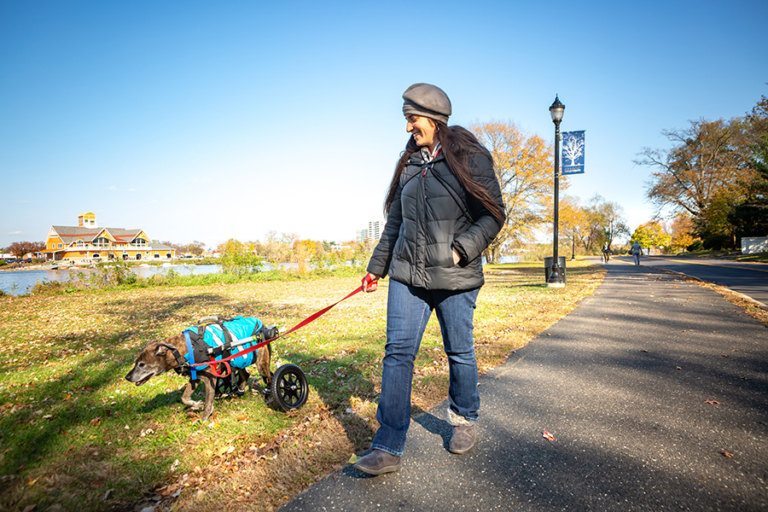 Cooper River Trail - Circuit Trails