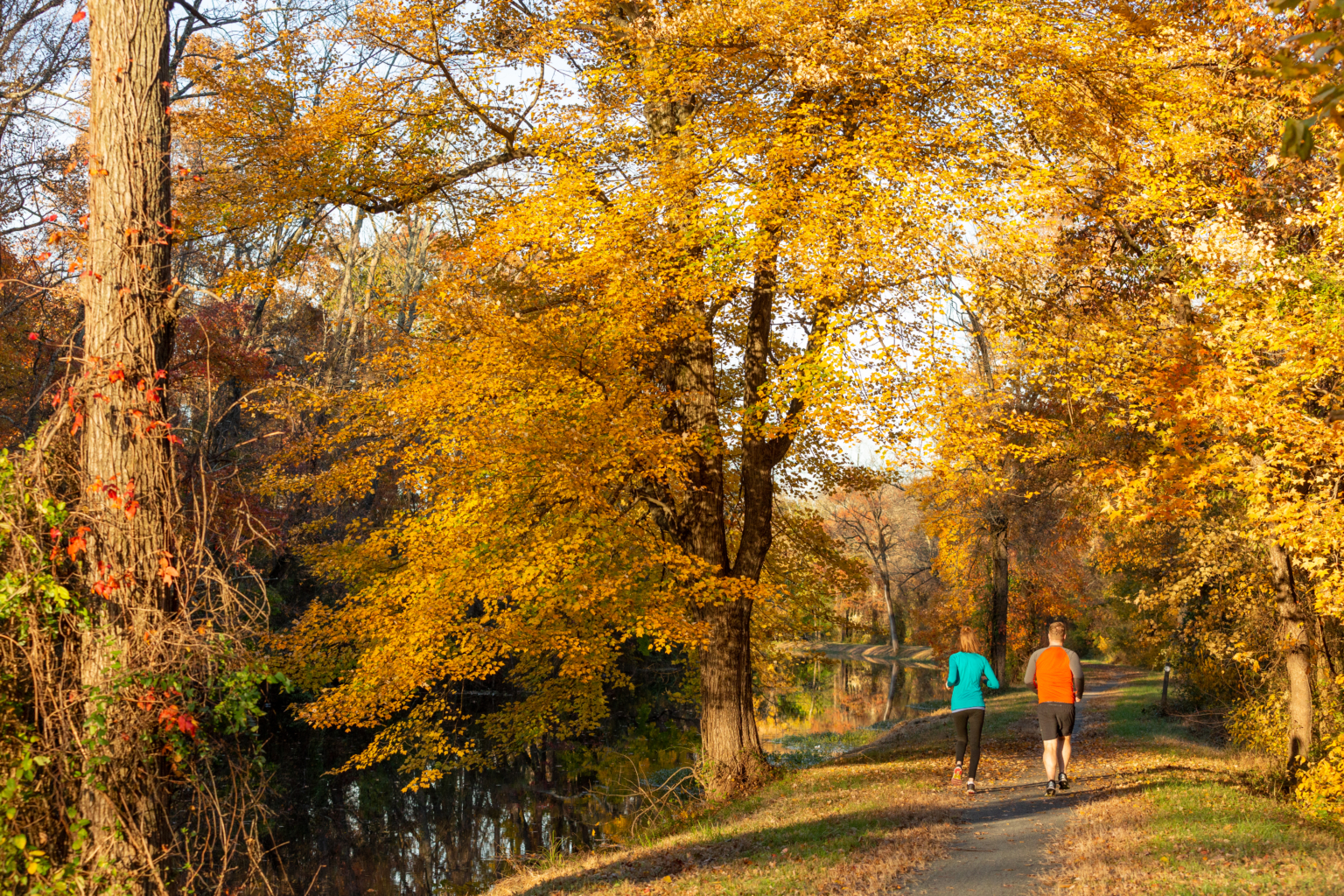 5K Your Way #OnTheCircuit - Circuit Trails