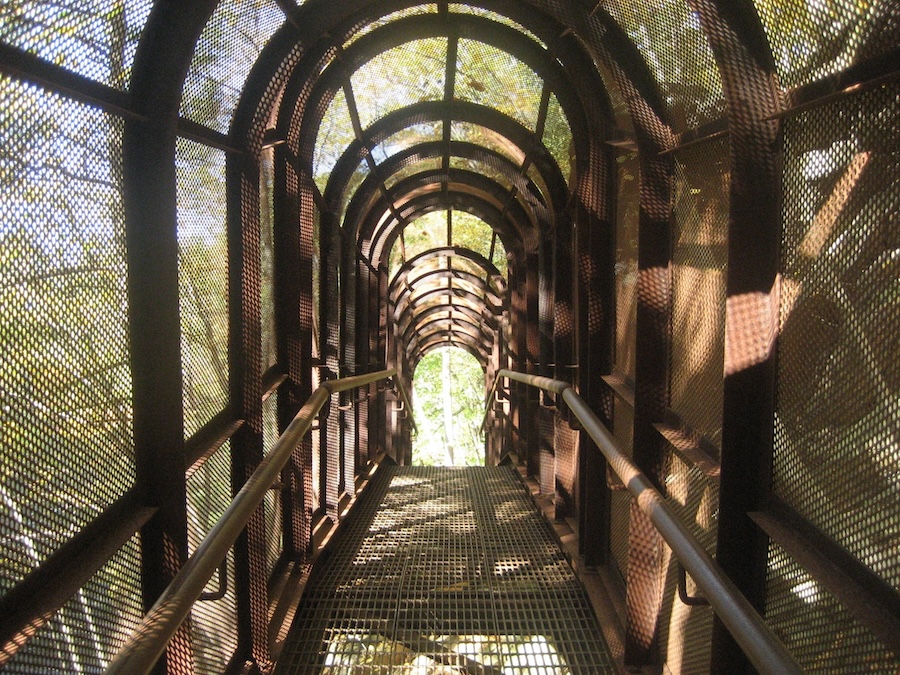 The Fingerspan Bridge: A Favorite Fitness Hike with Shuchi Rodgers and Debbie Hoellein - Circuit ...
