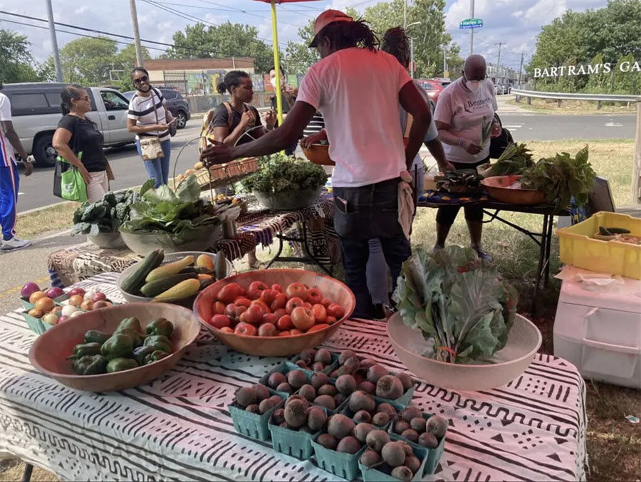 Sankofa Farm Stand at Bartram’s Village - Circuit Trails
