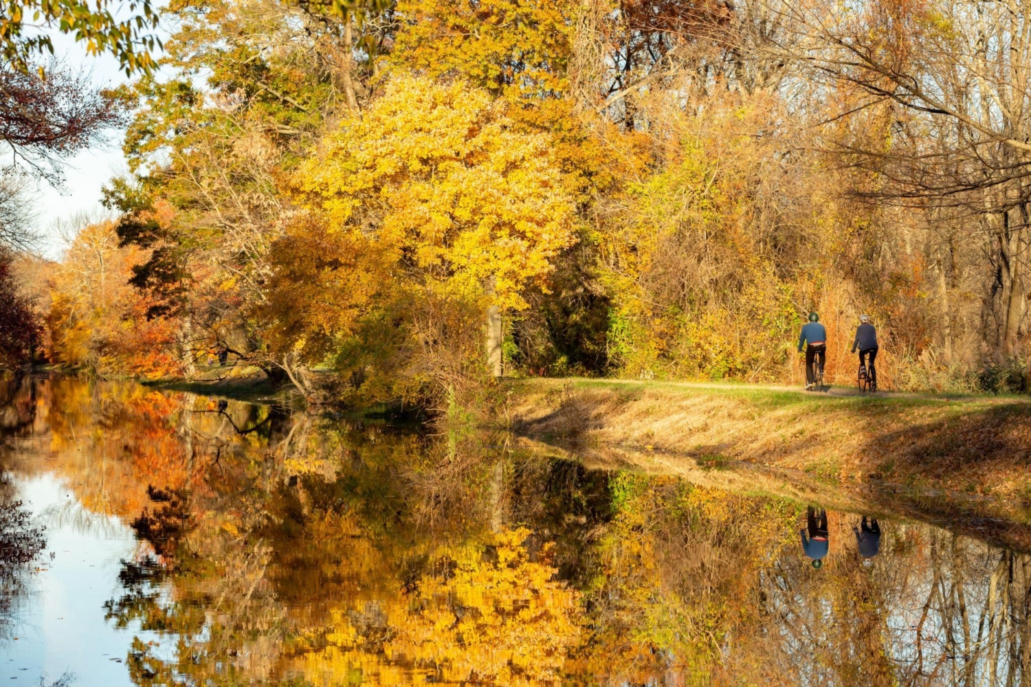 Exploring Fall Foliage #OnTheCircuit - Circuit Trails